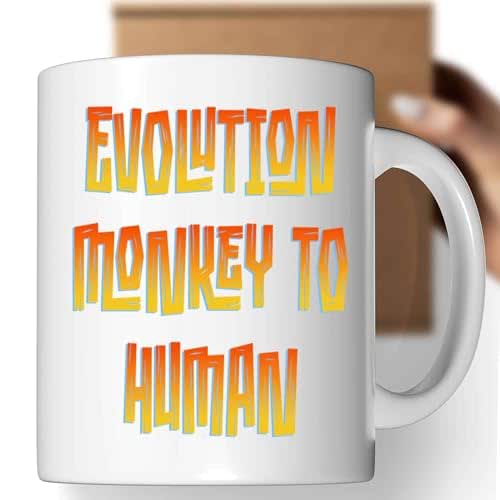 Amazon.com: Inspirational Gift Educational Monkey Evolution Chart Gift ...