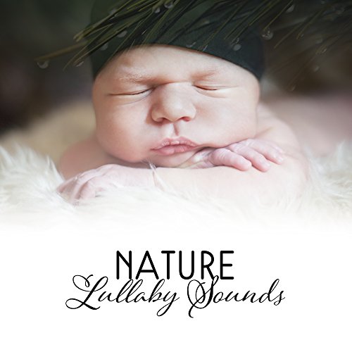 Play Nature Lullaby Sounds by Easy Sleep Music on Amazon Music