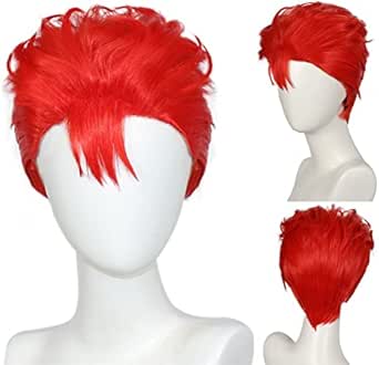 Amazon.co.jp: Heat Resistant Cosplay Wig, Sakuragi Hanamichi Cosplay ...