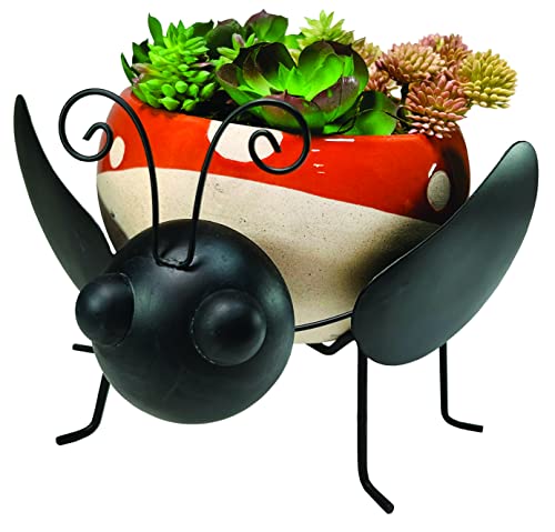 The 28 Best Streamline Imagined Planters of 2023 [Verified] - Cherry Picks