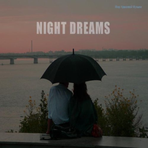 Amazon.com: Night Dreams : VARIOUS ARTISTS: Digital Music