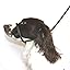 Amazon.com : Dog & Field Figure 8 Anti-Pull Rope Leash/Halter/Head ...