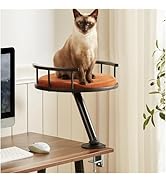 Amazon.com : JuoPool Cat Desk Bed - Desktop Attachment Cat Perch for ...