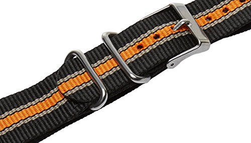 Timex Unisex Multi-Color Watch Strap - 905 I35466 : Amazon.in: Watches