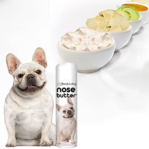 What Happens If Your Dog Eats Chapstick