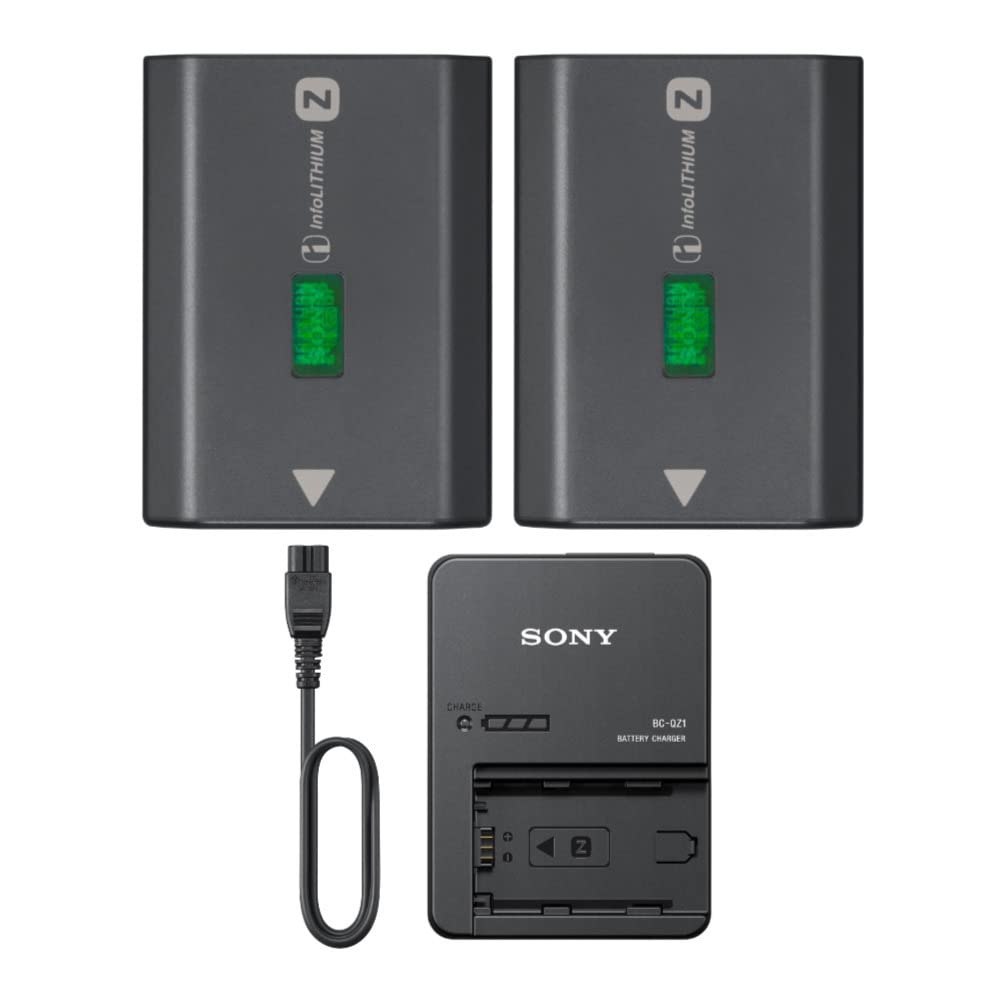 Buy Sony NP-FZ100 Charging Bundle for a7 and a9 Series Cameras ...
