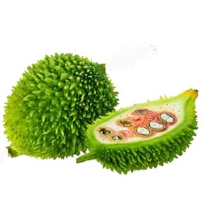 SWISS WORLD KANTOLA SEEDS | KANKOLE | KANKODA | SPINY GUARD SEED (2000 ...