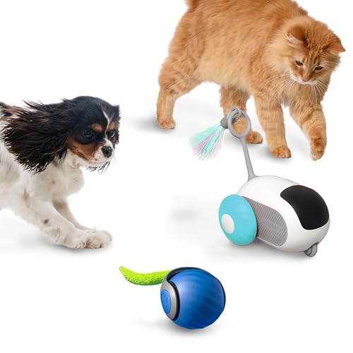 10 Best Remote Control Car for Dogs [2025]