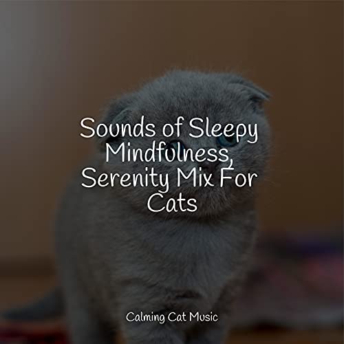 Sounds of Sleepy Mindfulness, Serenity Mix For Cats de Jazz Music for ...