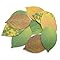 Amazon.com : Pepexia 600 Sheets Cute Tree Leaf Sticky Notes/Paper Memo ...