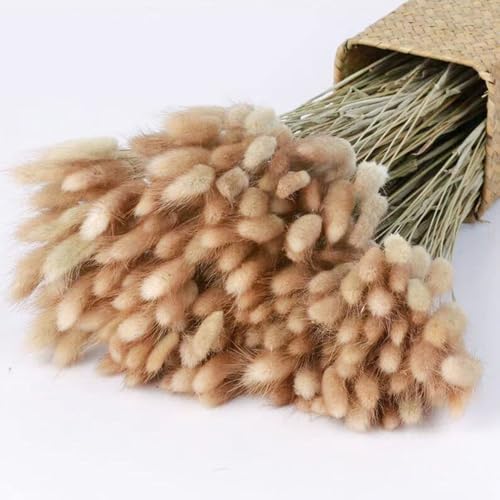 Amazon.com: Premium Dried Cattail Flowers, 25 PCS Assorted Cattails for ...
