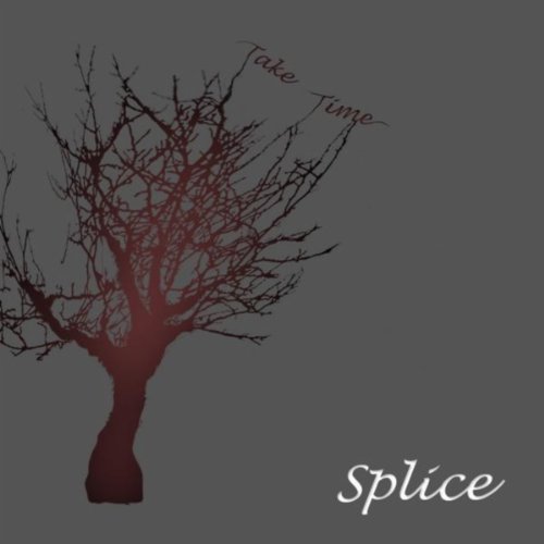 Amazon.com: Take Time : Splice: Digital Music