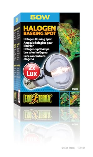 7 Best Albino Leopard Gecko Lighting 2024- Reviews and Buyer’s Guide ...