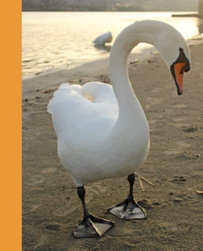 『Swan Notebook: 7.5x9.25 200 College Ruled Pages | Swan Composition ...