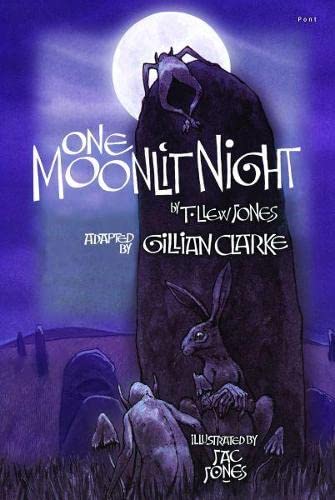One Moonlit Night: 25 Welsh Tales of Magic, Myth and Mystery: Amazon.co ...