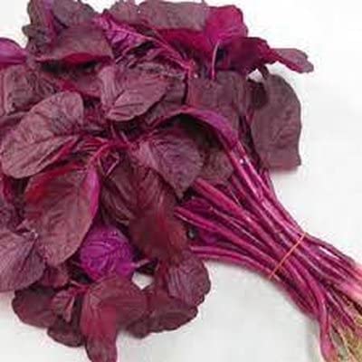 Amaranth Red Seeds Vegetable Seeds For Winter Season pack of 30 seeds ...