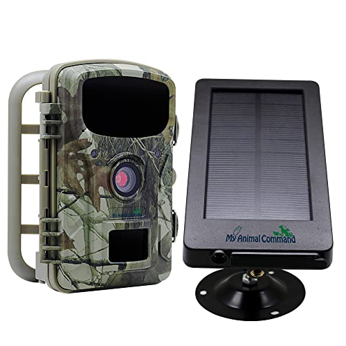 7 Best Solar Panel Trail Cameras – Reviewed – Outdoor Command