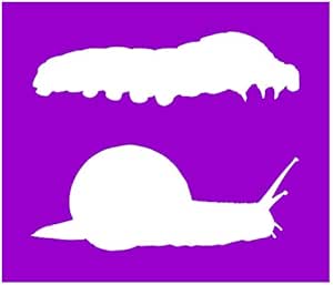 Amazon.com : Auto Vynamics - STENCIL-INSECTS-10 - Insect Design 10 ...