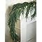 Amazon.com: EnnbeRuu Real Touch Norfolk Pine Garland with Tassels, Premium Christmas Garland ...