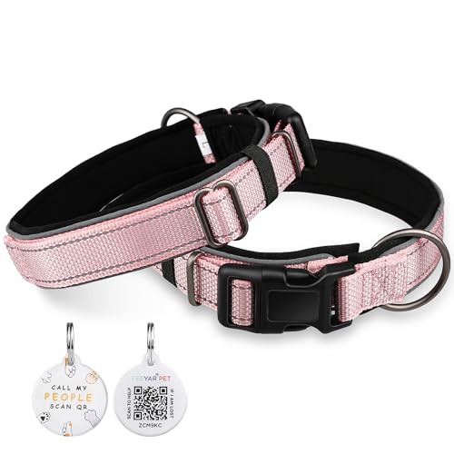 Comfortable Dog Collars – The 15 best products compared - Wild Explained
