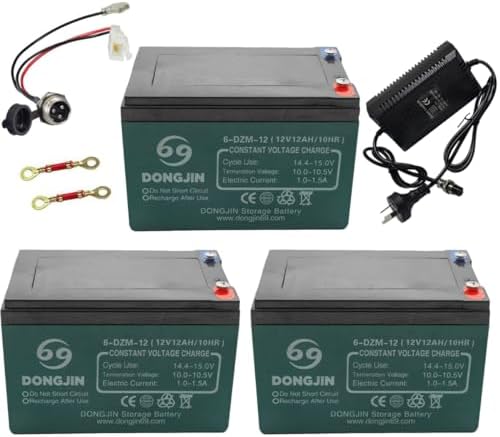 Amazon.com: 6-DZM-12 12V 12Ah Motorcycle Rechargeable Battery for ...