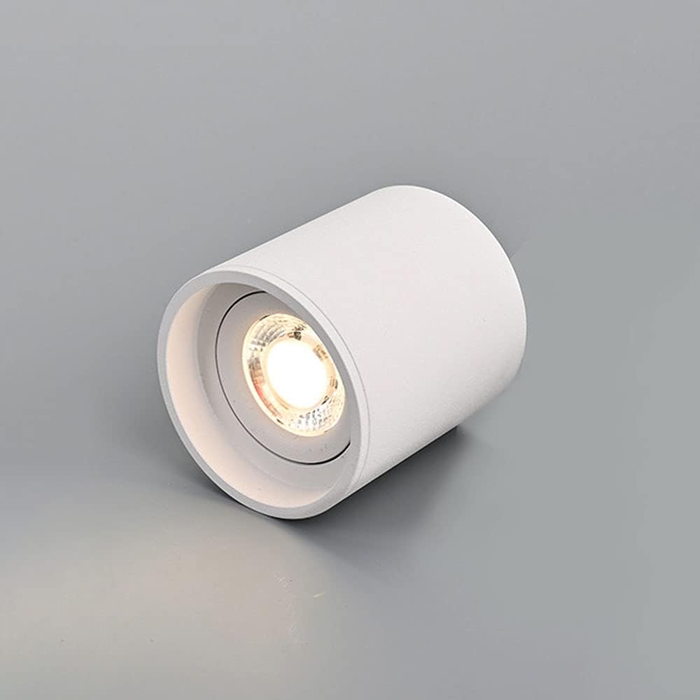 Jadssox Indoor Ceiling Spotlight LED Surface Mount Accent Spot Lighting ...