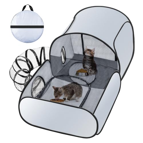 Kitten Playpen – The 15 best products compared - Wild Explained