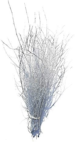 Decorative Coloured Birch Twigs and branches Red With Red Glitter ...