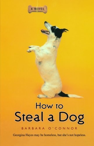 How to Steal a Dog Guided Reading Classroom Set: Barbara O'Connor ...