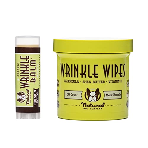 10 Must-Have Products for Job Seekers in Grand Prairie: A Comprehensive ...