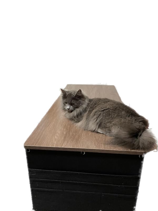 Amazon.co.jp: HARUMIN ローテーブル サイド収納付き 幅80cm 2段階調節棚板 北欧 センターテーブル コーヒーテーブル リビングテーブル 机 単品 R角保護 錆び防止 ...