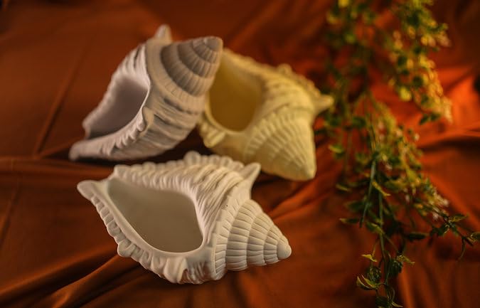 Handcrafted Shankh (Conch Shell) Bowl for Home Decor, Living Room ...
