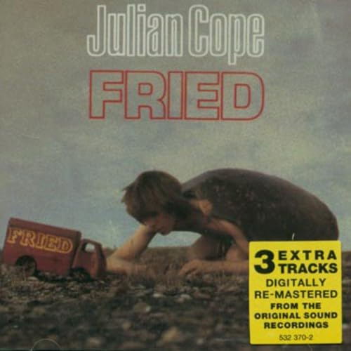 Fried - Cope,Julian: Amazon.de: Musik