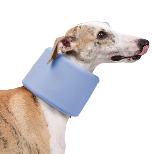 Dog Neck Brace – The 15 best products compared - Wild Explained