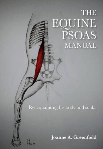 Buy The Equine Psoas Manual: Reacquainting His Body and Soul... Book ...