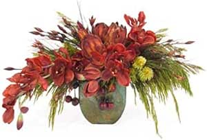 Amazon.com: Rust Orchid In Pottery