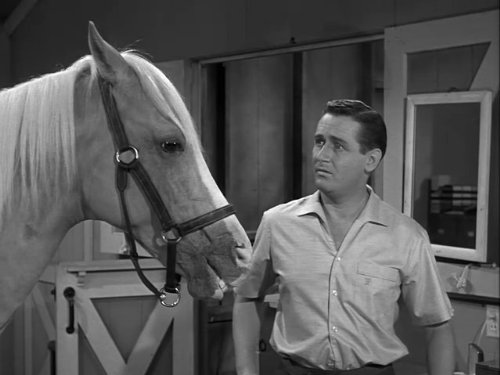 Watch Mister Ed Season 2 | Prime Video