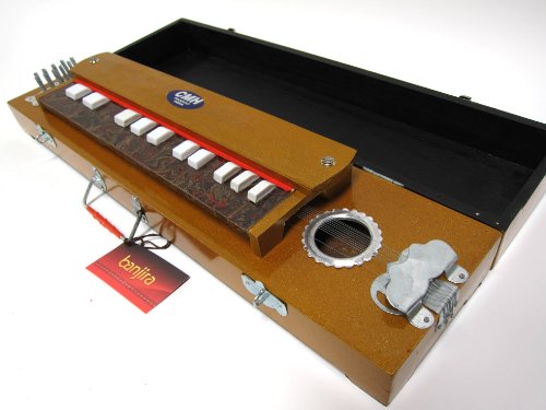 Bulbul Tarang Musical Instrument