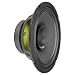 Amazon.com: PRV AUDIO 8FR250 8 Inch Full Range Speaker, 8 Ohms, 250 ...