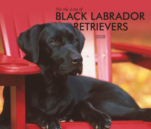 For the Love of Black Labrador Retrievers 2008 Calendar: BrownTrout ...