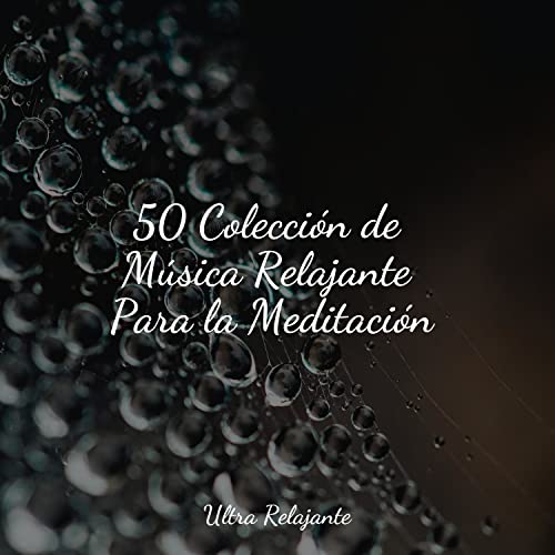 Reproducir 50 Colección de Música Relajante Para la Meditación de ...