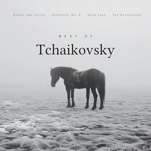 Amazon.com: Best of Tchaikovsky : VARIOUS ARTISTS: Digital Music