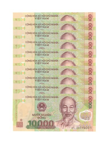 Amazon Best Sellers: Best Currency Bands & Currency Straps