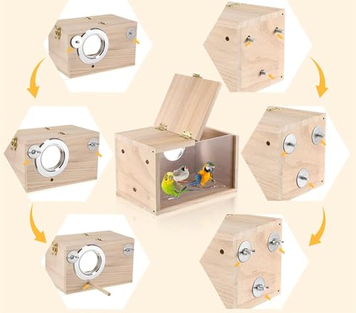 LATRAT Budgies Nesting Box Transparent Design, Natural Wood Bird House ...
