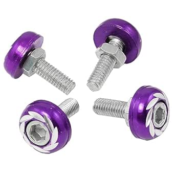 Amazon.com: Purple Silver Tone License Plate Bolts Screws Car Ornament ...
