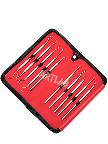 The 28 Best Lab Dissection Instruments of 2025 [Verified] - Cherry Picks