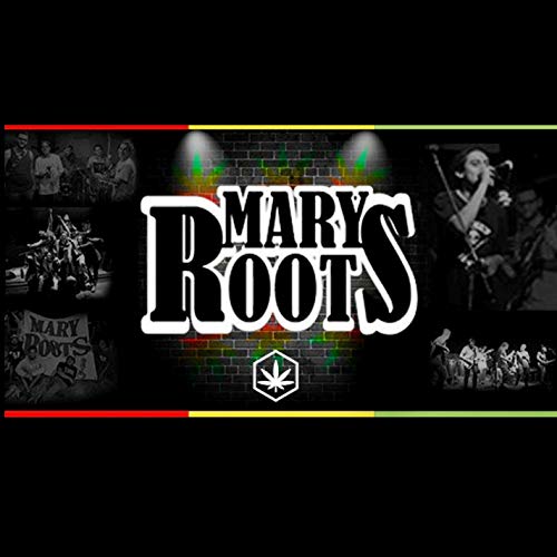 Amazon.com: sesión acústica : Mary Roots: Digital Music