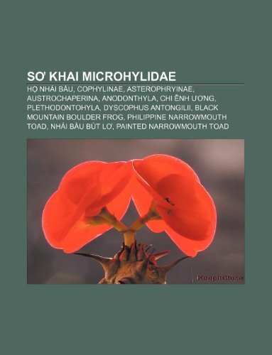 Amazon.co.jp: S Khai Microhylidae: H Nhai B U, Cophylinae ...
