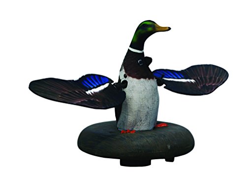 Top 10 Water Motion Duck Decoys of 2022 - Katynel
