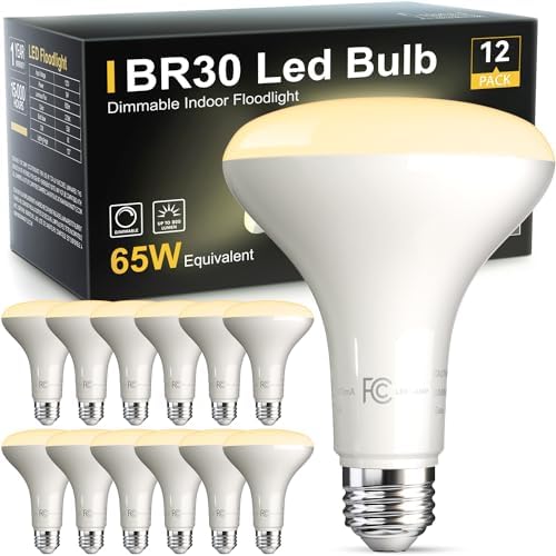 6PACK LED Filament Bulb R80/BR30, Flood Light Reflector Bulb 4W LED ...